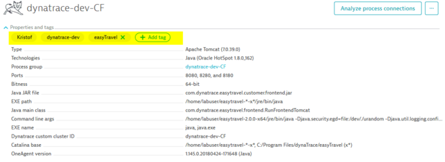 Entity Tagging | Enterprise Monitoring